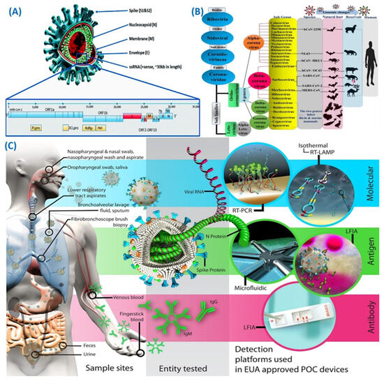 Point-of-Care Devices for Viral Detection: COVID-19 Pandemic and Beyond