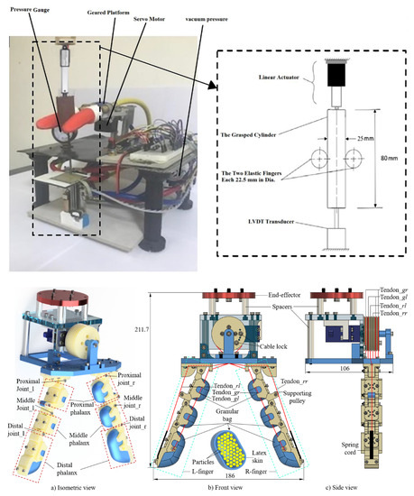Bioinspiration and Biomimetic Art in Robotic Grippers