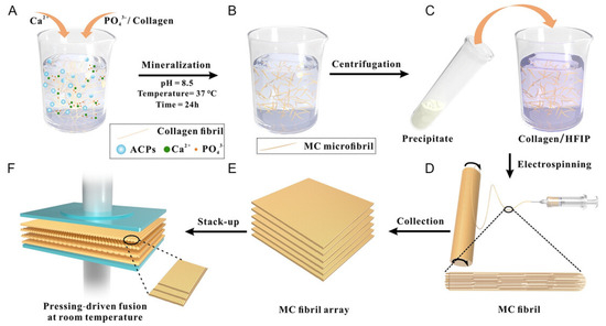 Micromachines | Free Full-Text | Bio-Inspired Nanomaterials for Micro ...