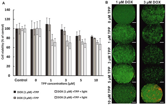 A Multi-Layer Breast Cancer Model to Study the Synergistic Effect of ...