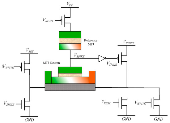 Realization of Artificial Neurons and Synapses Based on STDP Designed by an MTJ Device