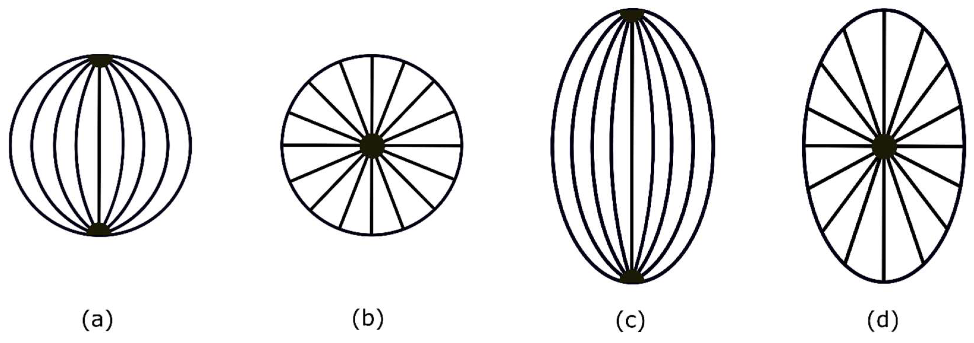 Computational Analysis on the Performance of Elongated Liquid Crystal Biosensors