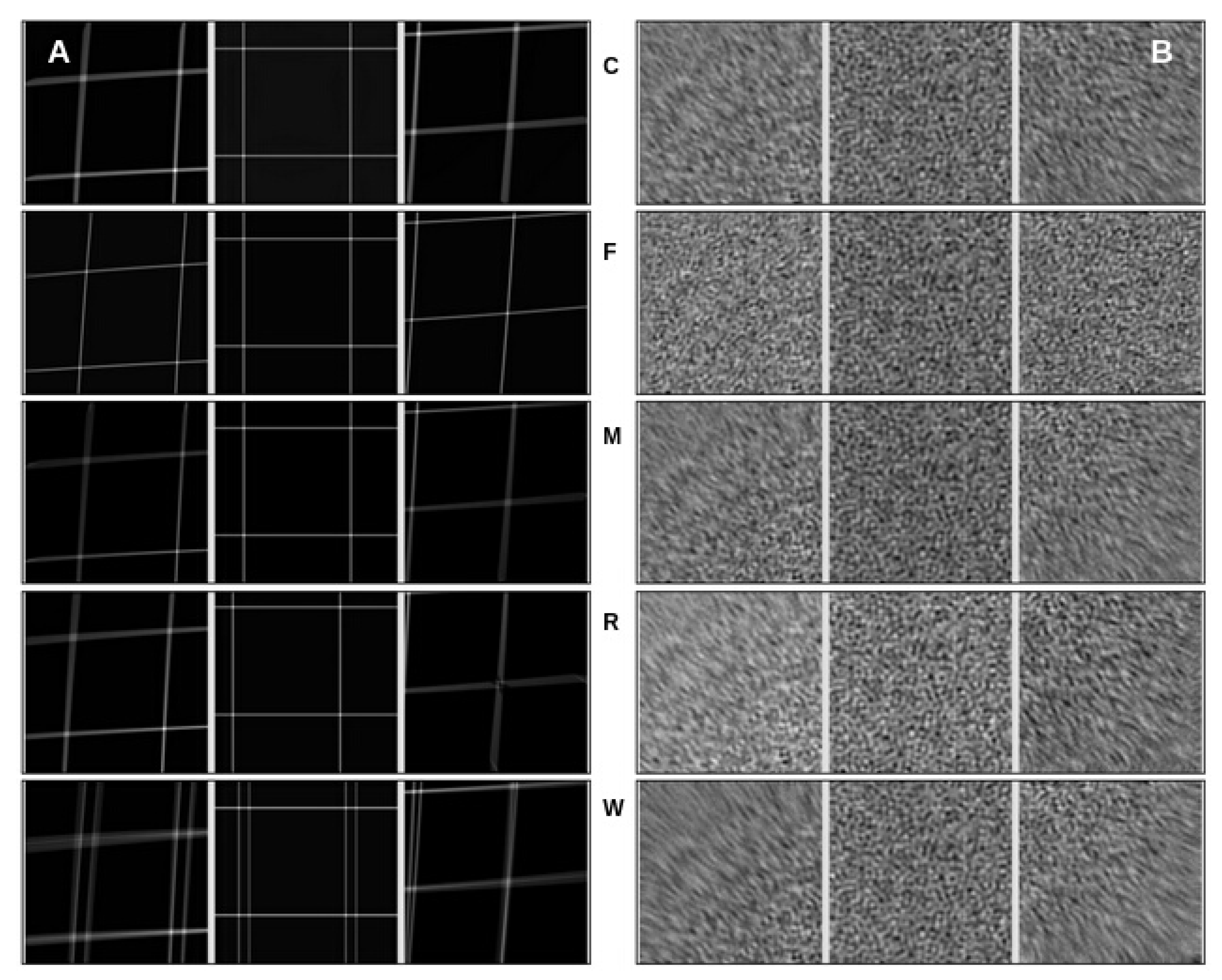 Performance and Quality Comparison of Movie Alignment Software for Cryogenic Electron Microscopy