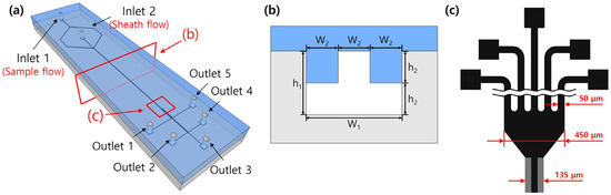 Micromachines | Free Full-Text | Particle Separation in a Microchannel with a T-Shaped Cross ...