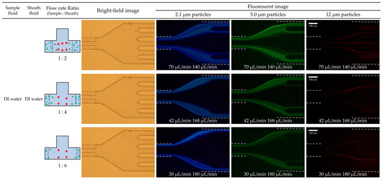 Micromachines | Free Full-Text | Particle Separation in a Microchannel with a T-Shaped Cross ...