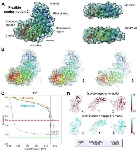 Delineating Conformational Variability in Small Protein Structures ...