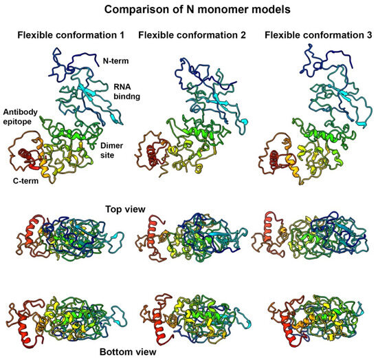RETRACTED: Delineating Conformational Variability in Small Protein ...