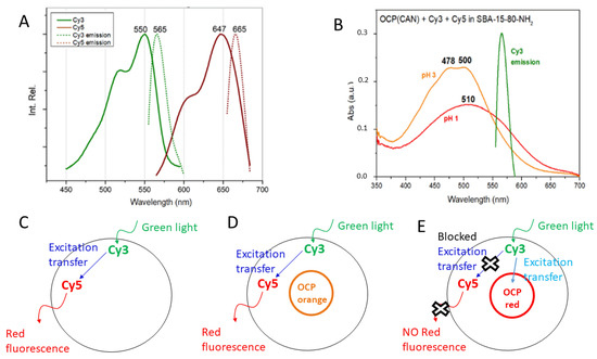Orange Carotenoid Protein in Mesoporous Silica: A New System towards ...