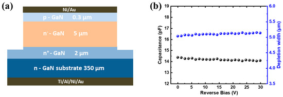 Simulation-Based Analysis of the Effect of Alpha Irradiation on GaN Particle Detectors