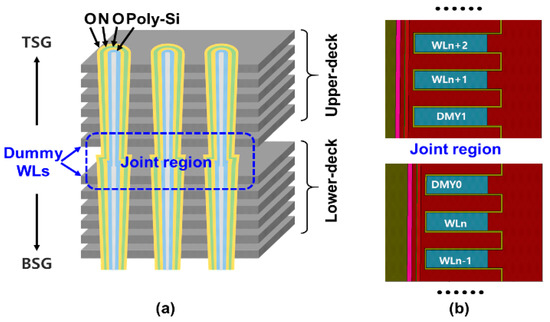 Investigation of Erase Cycling Induced Joint Dummy Cell Disturbance in Dual-Deck 3D NAND Flash ...
