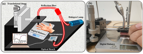 Investigating the Influence of Probe Pressure on Human Skin Using ...