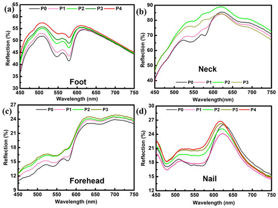 Investigating the Influence of Probe Pressure on Human Skin Using ...