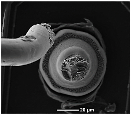 Bond Wire Fatigue of Au, Cu, and PCC in Power LED Packages