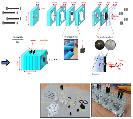 Selective Sensing in Microbial Fuel Cell Biosensors: Insights from ...