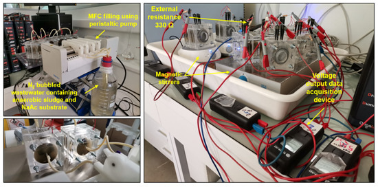 Selective Sensing in Microbial Fuel Cell Biosensors: Insights from ...