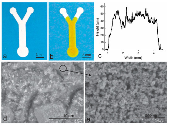 Printed Capillary Microfluidic Devices and Their Application in Biosensing