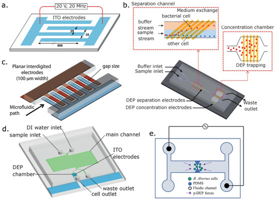 Microfluidic Blood Separation: Key Technologies and Critical Figures of ...