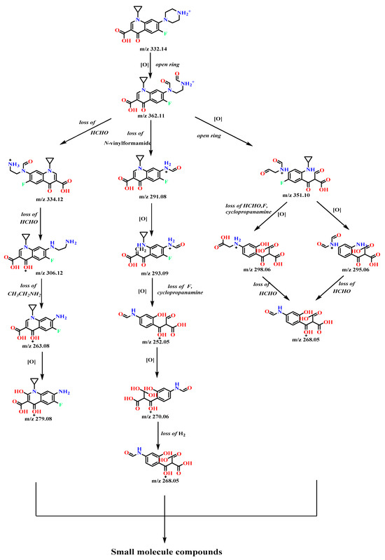 Synthesis and Catalytic Degradation of PEF, ENR, and CIP by g-C3N4/TCNQ ...