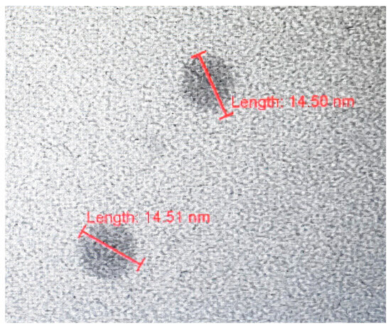 The Second Derivative of Fullerene C60 (SD-C60) and Biomolecular ...