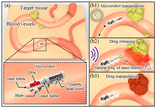 Acoustic Bubble and Magnetic Actuation-Based Microrobot for Enhanced ...
