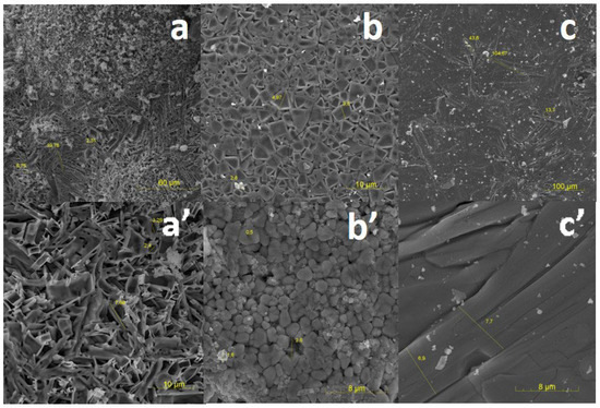Radiation Synthesis of High-Temperature Wide-Bandgap Ceramics