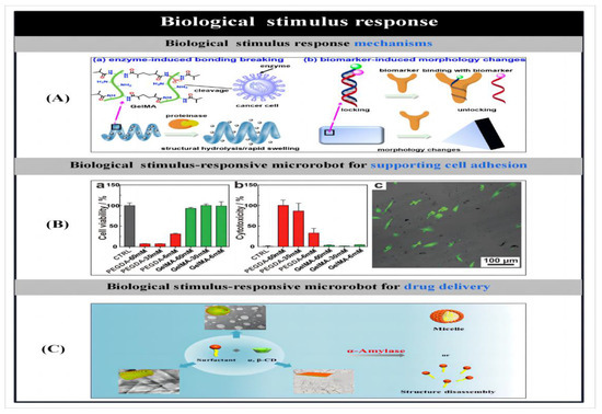 Preparation, Stimulus–Response Mechanisms and Applications of Micro ...
