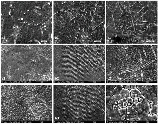 Microstructure Formations Resulting from Nanosecond and Picosecond Laser Irradiation of a Ti ...