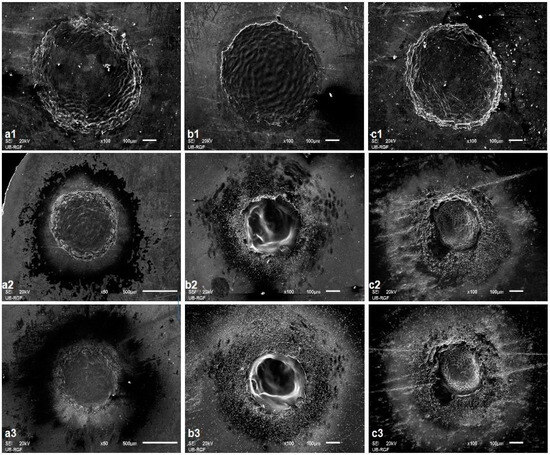 Microstructure Formations Resulting from Nanosecond and Picosecond Laser Irradiation of a Ti ...