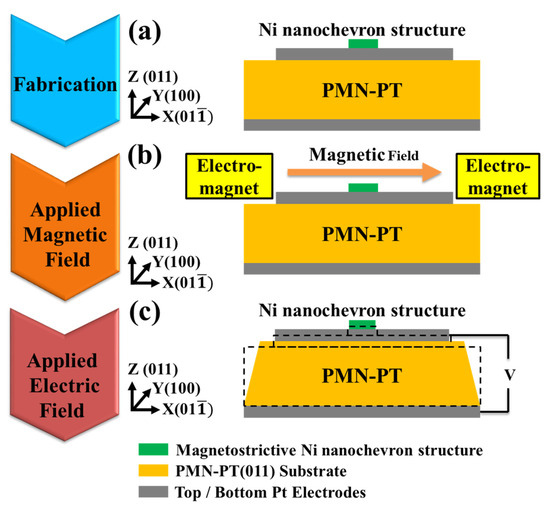 Magnetic-Field-Assisted Electric-Field-Induced Domain Switching of a Magnetic Single Domain in a ...