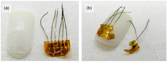 Healthcare Wearable Sensors Adhesion to Human Fingernails and Toenails