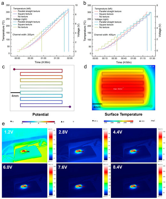 A Novel Flexible Liquid Metal Microheater with a Textured Structure