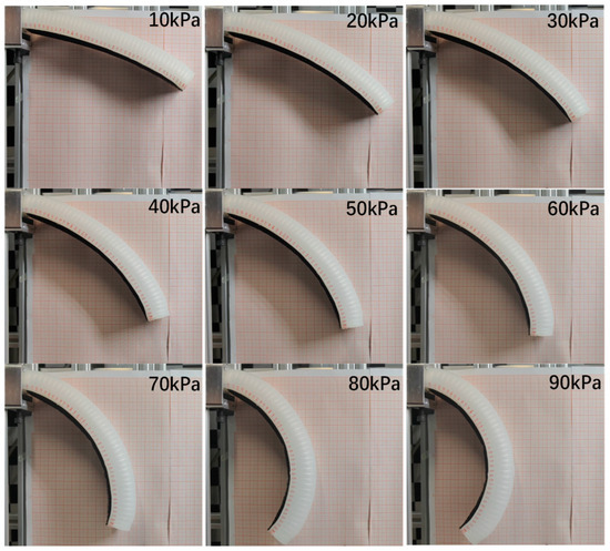 Design and Experiment Investigation on Soft Grippers with Modular Variable Stiffness Structure