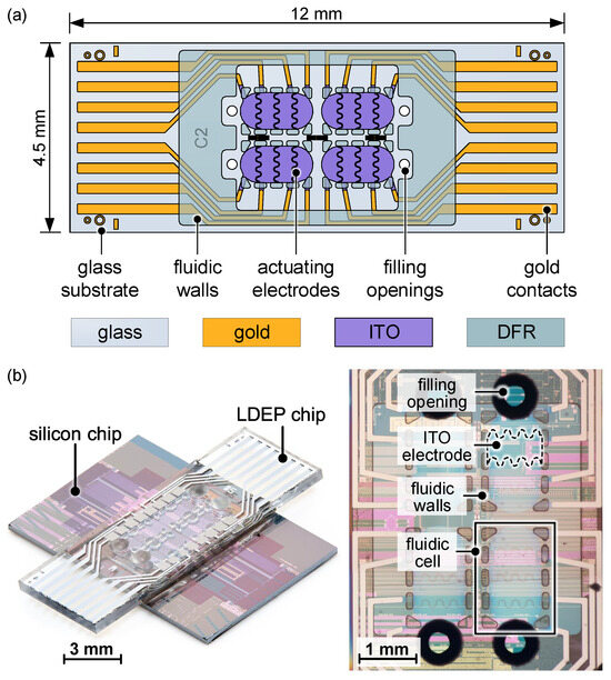 Droplet Motion Driven by Liquid Dielectrophoresis in the Low-Frequency ...