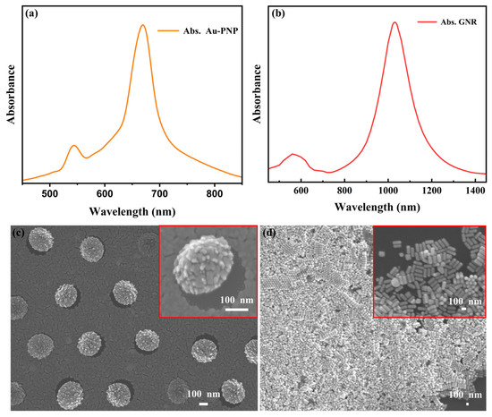 Laser-Induced Intracellular Delivery: Exploiting Gold-Coated Spiky ...