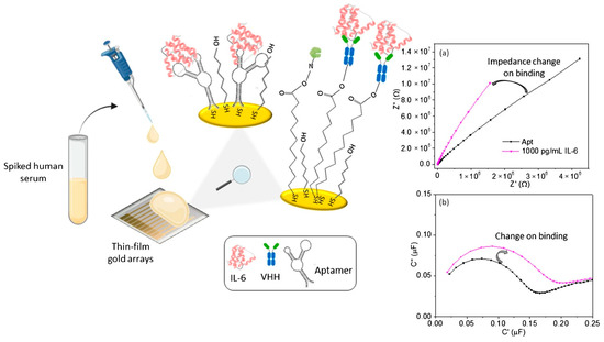 Hybrid Impedimetric Biosensors for Express Protein Markers Detection