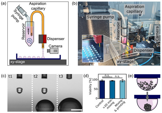 Automated Nanodroplet Dispensing for Large-Scale Spheroid Generation ...