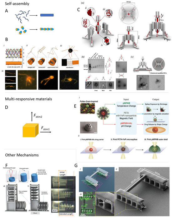 Evolution of the Microrobots: Stimuli-Responsive Materials and Additive ...