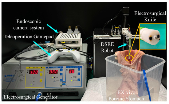 Micromachines | Free Full-Text | Stereo Visual Servoing Control of a ...
