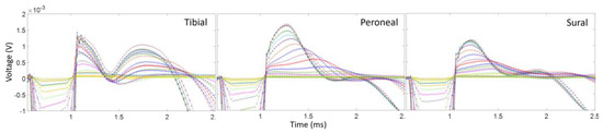 Using Compound Neural Action Potentials for Functional Validation of a High-Density Intraneural ...