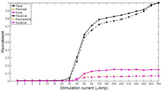 Using Compound Neural Action Potentials for Functional Validation of a High-Density Intraneural ...