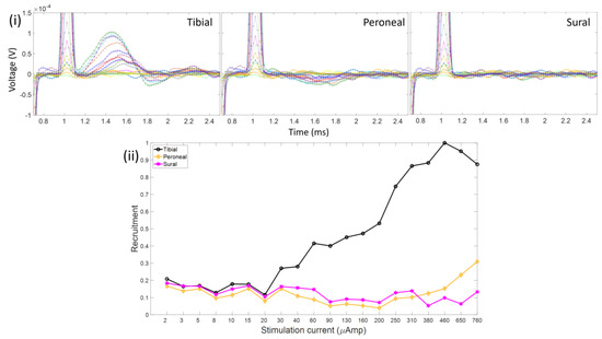 Using Compound Neural Action Potentials for Functional Validation of a High-Density Intraneural ...