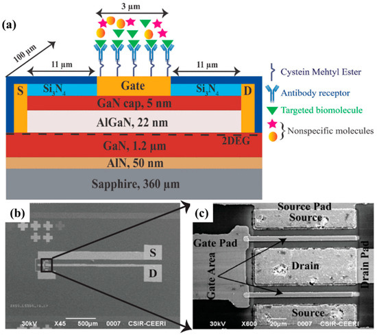 Review of the AlGaN/GaN High-Electron-Mobility Transistor-Based Biosensors: Structure ...