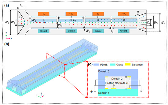 Numerical Simulations of Combined Dielectrophoresis and Alternating ...