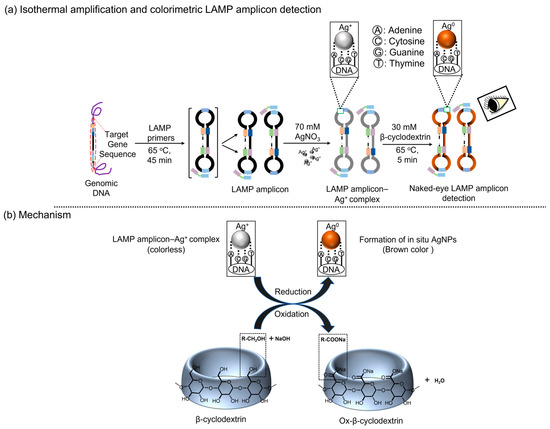Micromachines | Free Full-Text | β-Cyclodextrin-Stabilized Silver ...