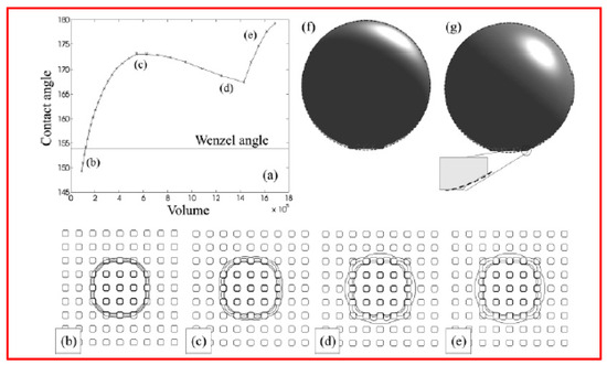 Nature-Inspired Superhydrophobic Coating Materials: Drawing Inspiration ...