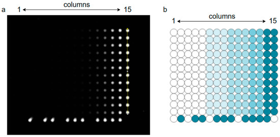 Research on Key Technologies of Microarray Chips for Detecting Drug ...