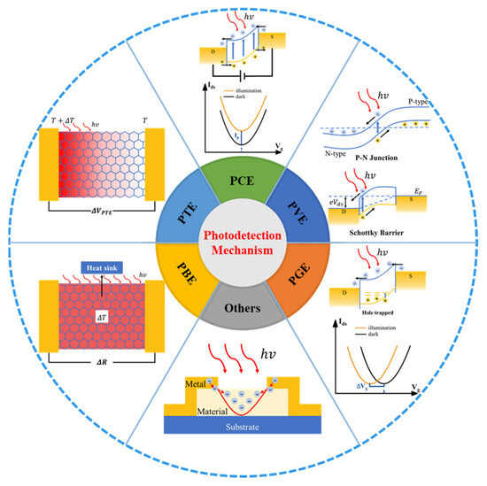 Recent Advances in Broadband Photodetectors from Infrared to Terahertz