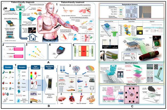 Recent Progress and Challenges of Implantable Biodegradable Biosensors