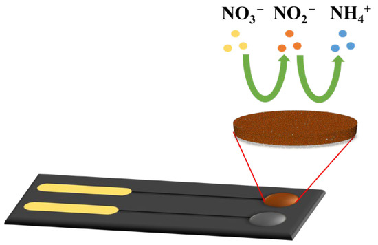 Nitrate Sensor with a Wide Detection Range and High Stability Based on ...