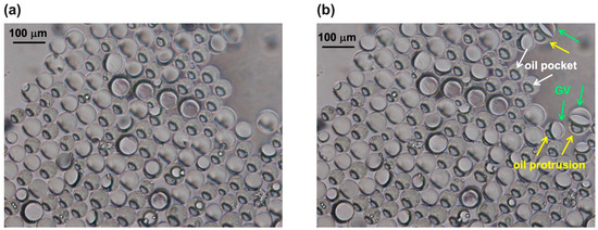 Glass Microdroplet Generator for Lipid-Based Double Emulsion Production